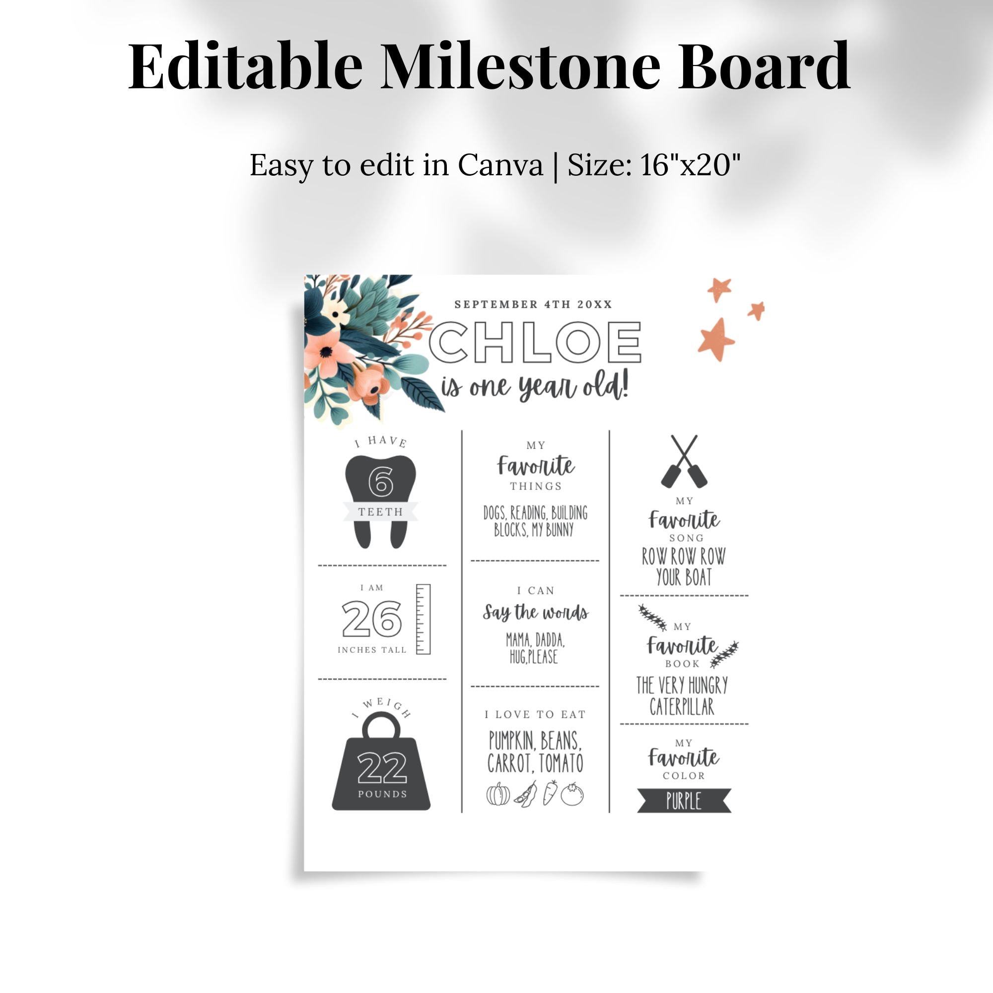 Editable Milestone Birthday Sign | Printable Baby First Year Poster ...