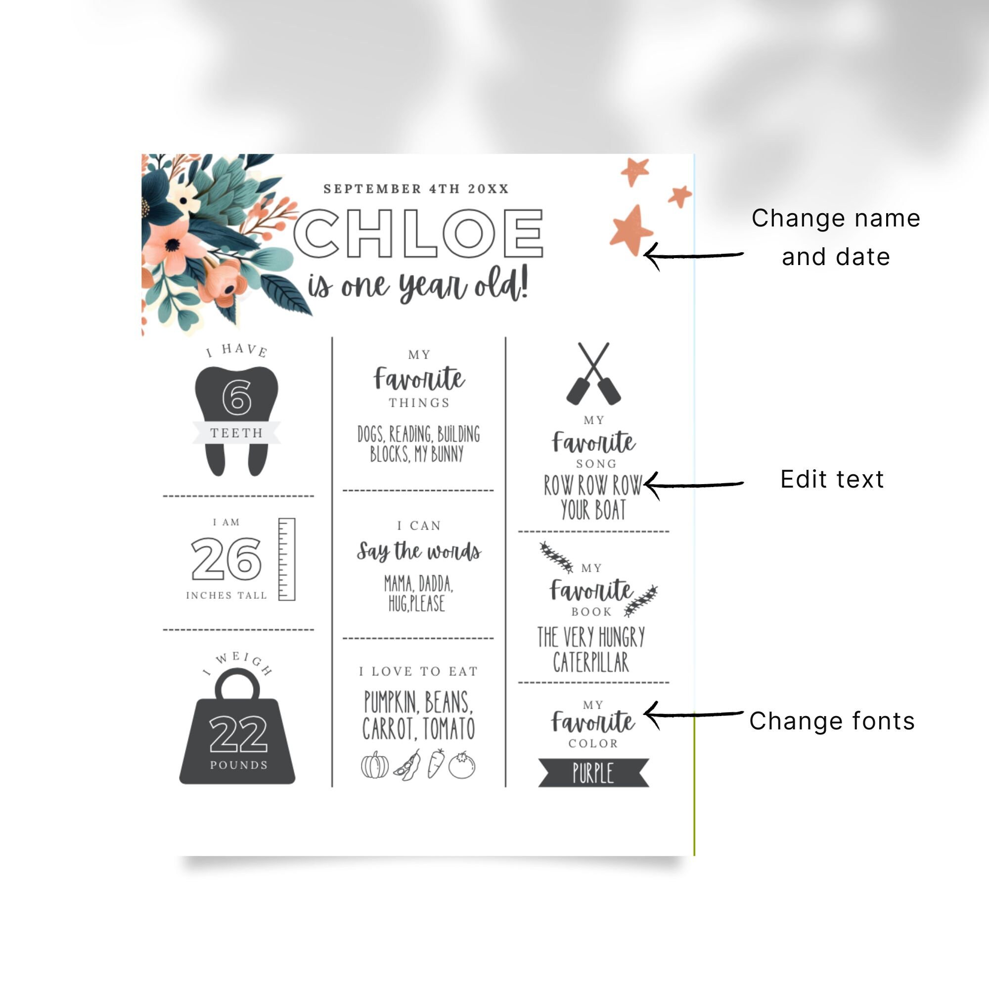 Editable Milestone Birthday Sign | Printable Baby First Year Poster ...