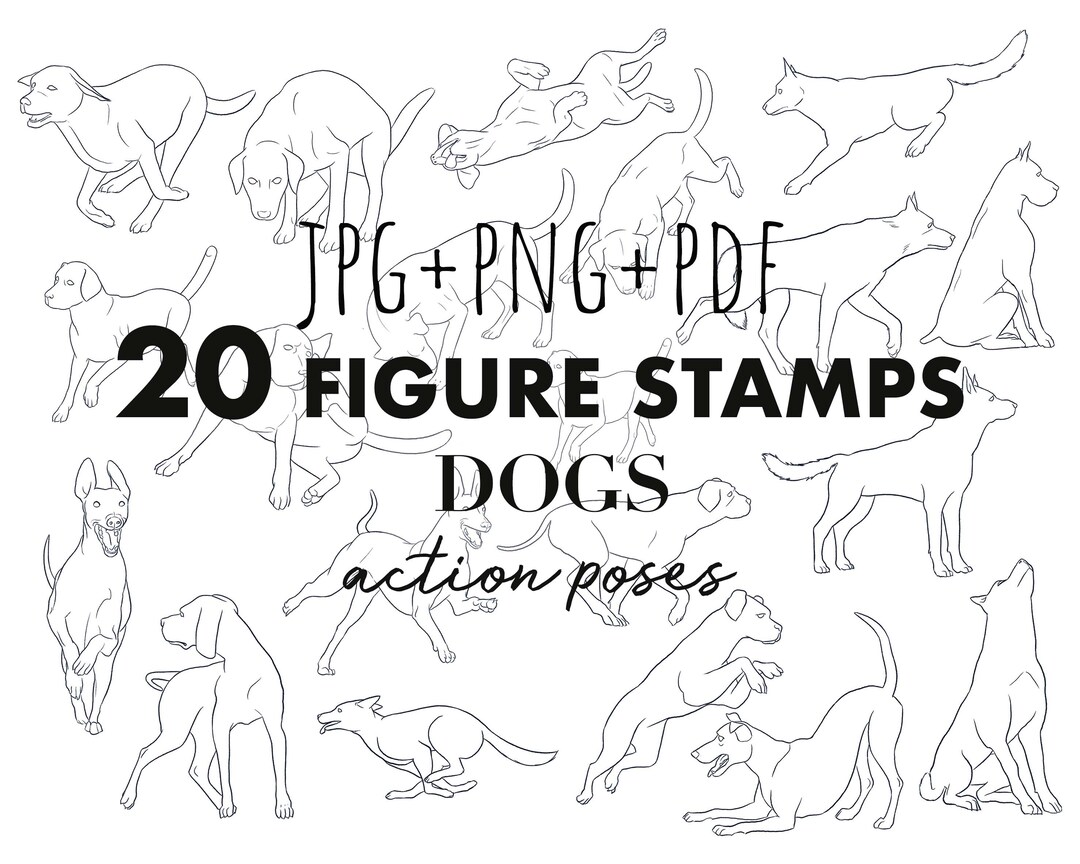 Dogs Poses JPG PNG - Etsy