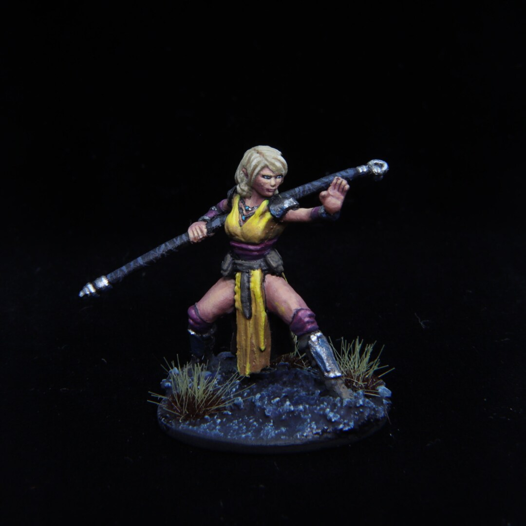Half-elf Monk | Hand Painted | Tabletop Miniature | Dungeons and ...