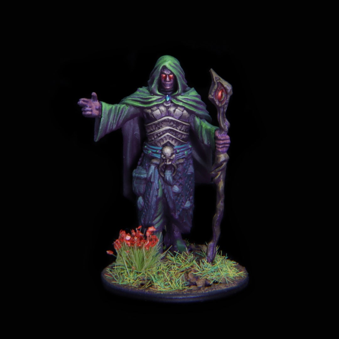 Human Druid Hand Painted Tabletop Miniature Dungeons and Dragons D&D ...