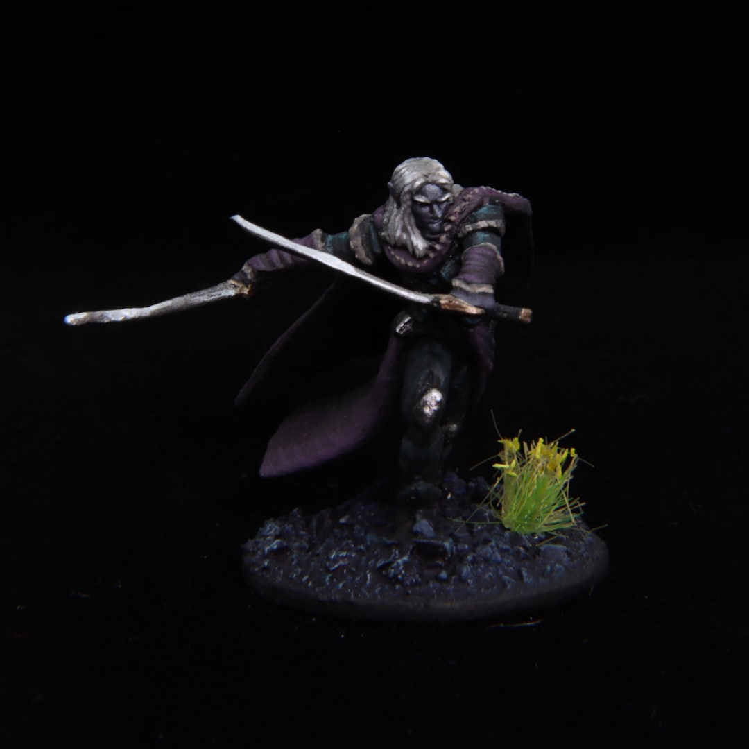 Drow Elf Dual Wielding Fighter Hand Painted Tabletop Miniature Dungeons ...