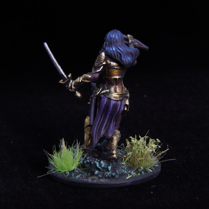 Drow Elf Ranger Hand Painted Tabletop Miniature Dungeons and Dragons D ...