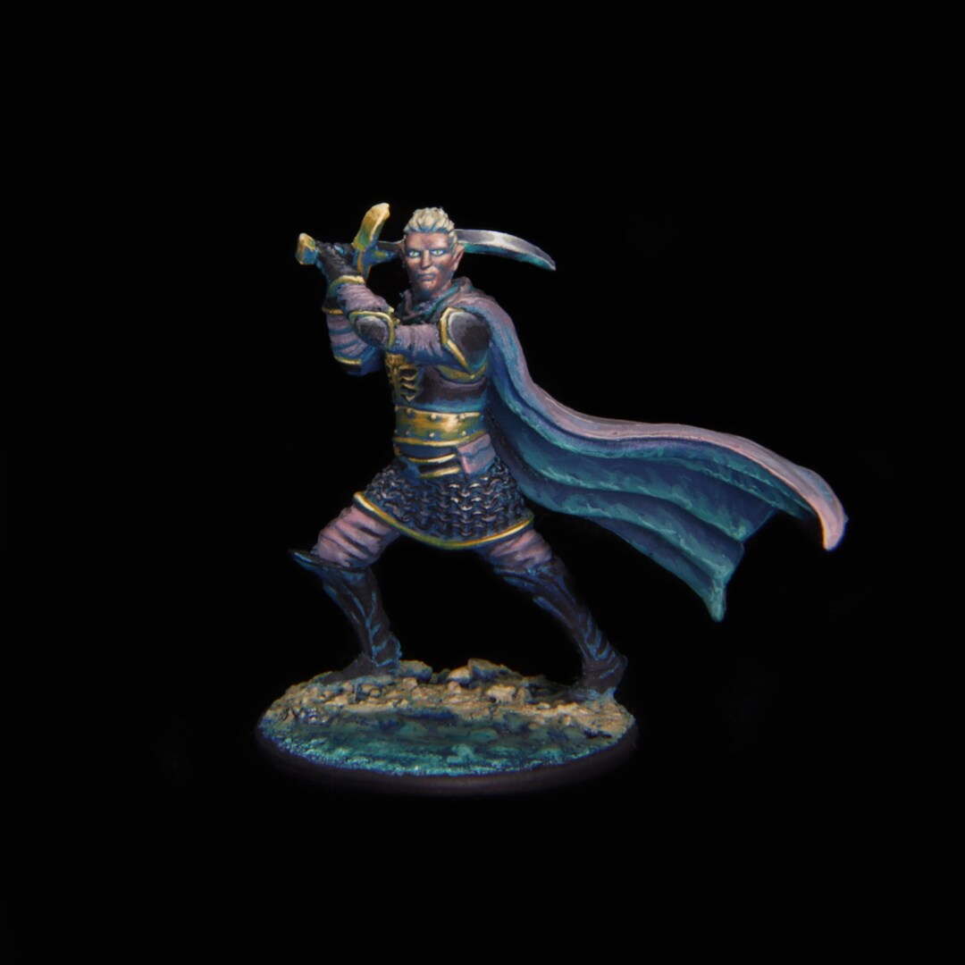 Elf Paladin | Hand Painted | Tabletop Miniature | Dungeons and Dragons ...