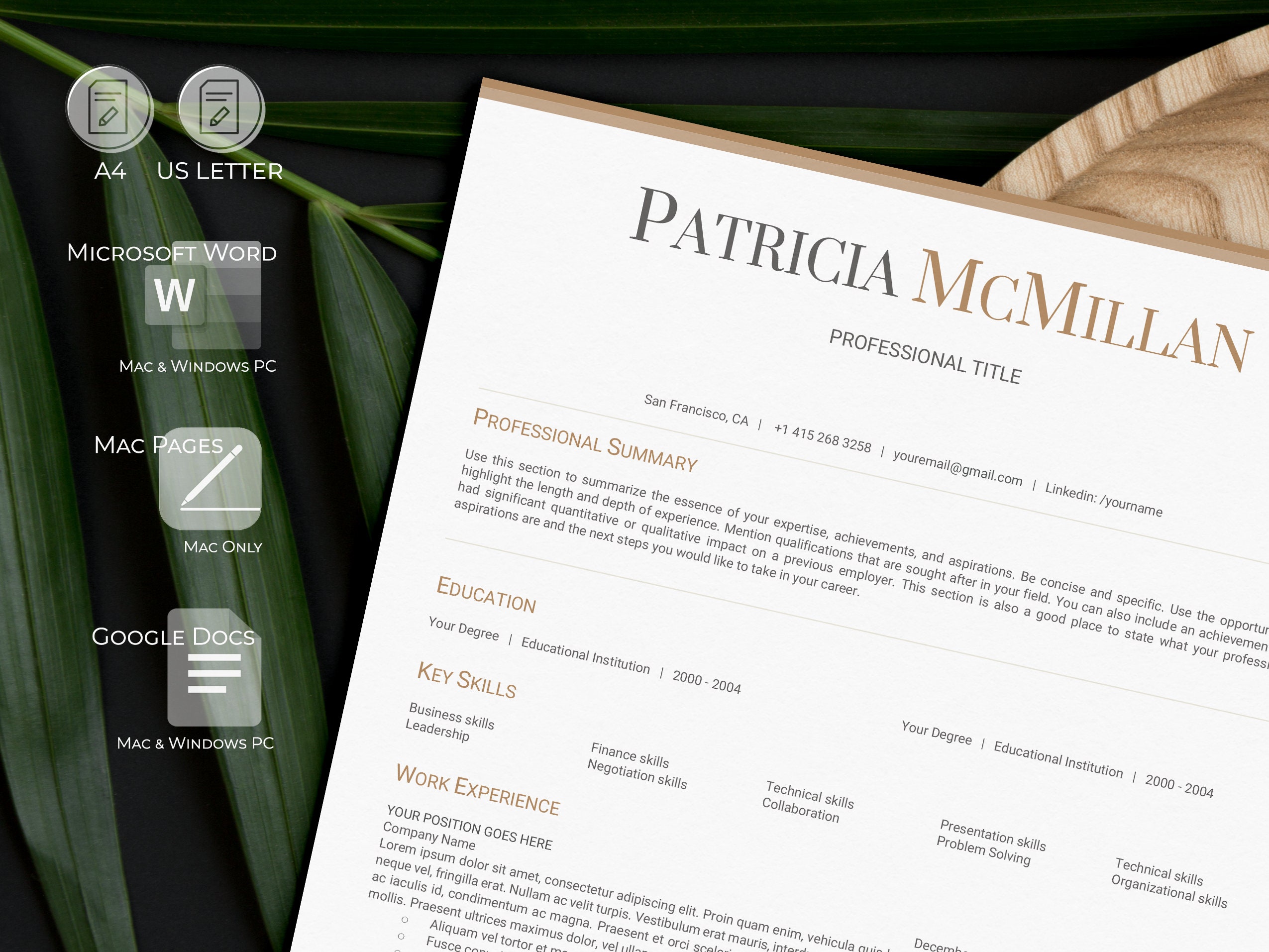 ATS Friendly Resume Template | Resume Template Google Docs, Mac Pages ...
