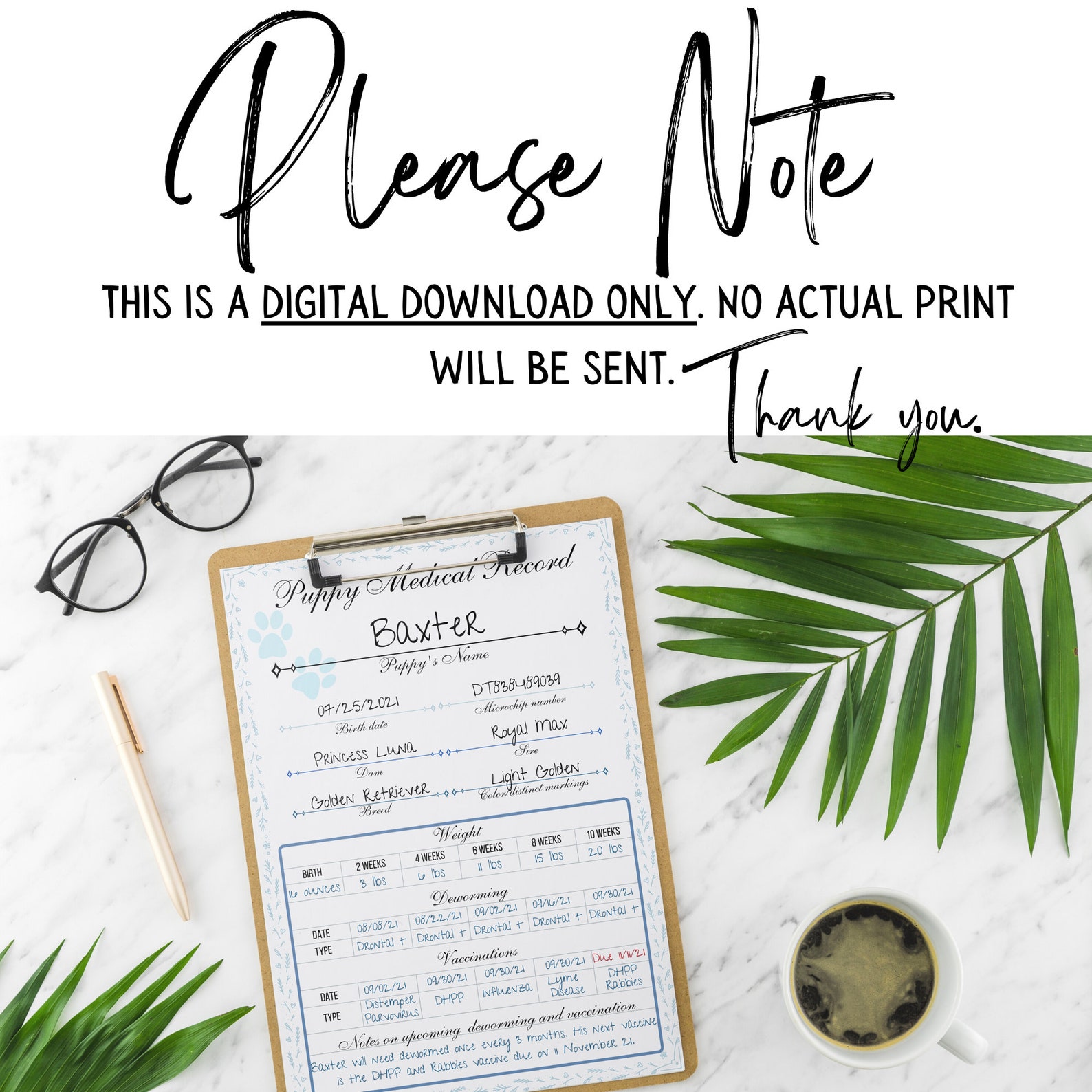 PUPPY MEDICAL RECORDS Breeder Litter Records Breeder - Etsy