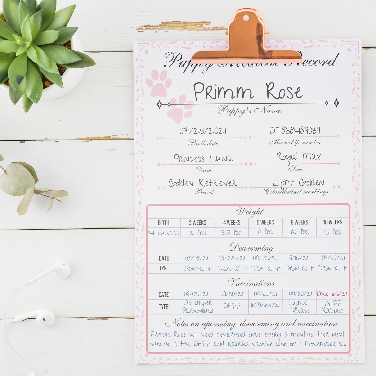 PUPPY MEDICAL RECORDS Breeder Litter Records Breeder - Etsy