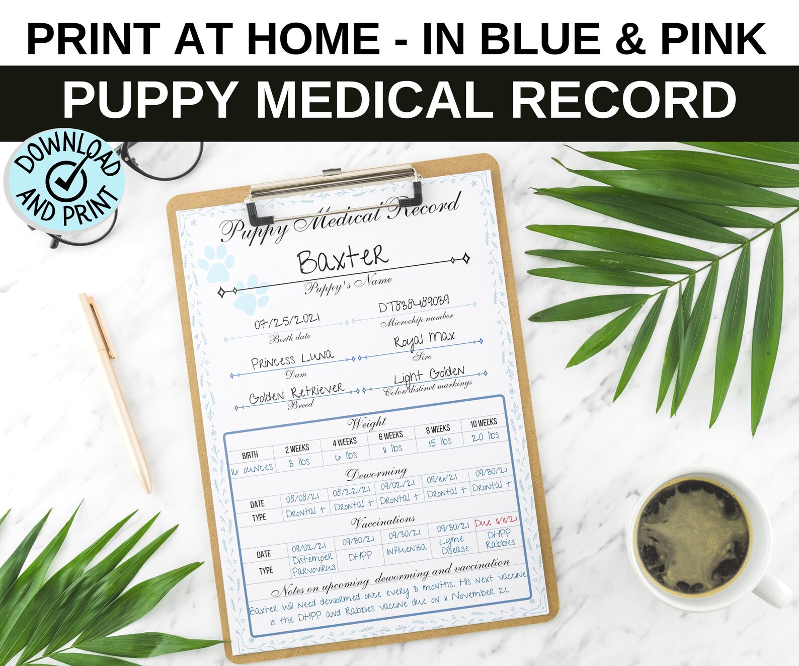 PUPPY MEDICAL RECORDS | Breeder Litter Records | Breeder Litter Forms ...
