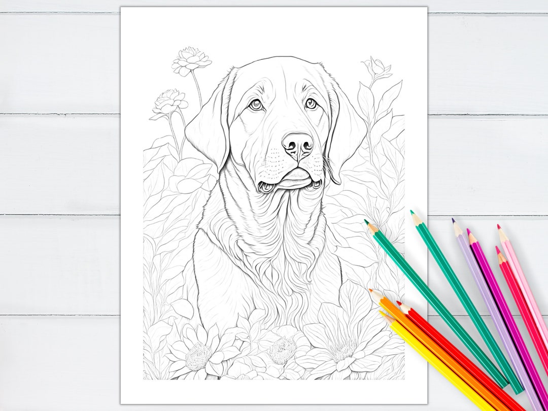 Golden Labrador Coloring Page for Adults, Printable Golden Lab Coloring ...