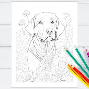 Golden Labrador Coloring Page for Adults Printable Golden Lab - Etsy