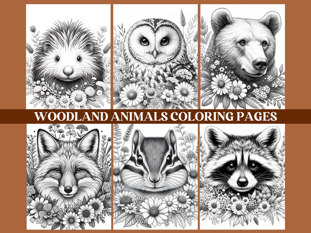 24 Woodland Animals Coloring Pages, Printable Forest Animals Coloring ...