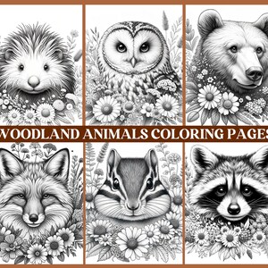 24 Woodland Animals Coloring Pages, Printable Forest Animals Coloring ...