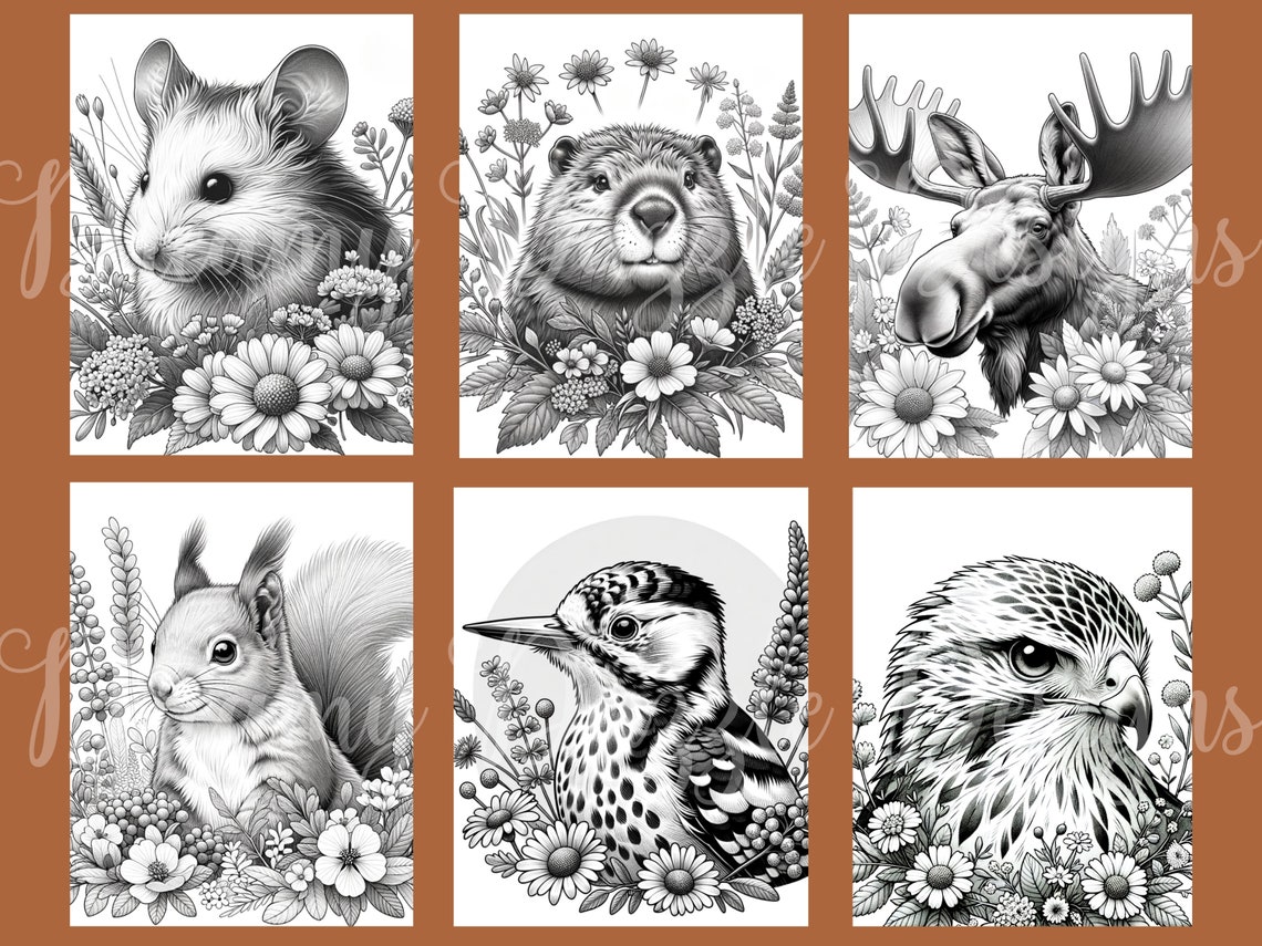24 Woodland Animals Coloring Pages, Printable Forest Animals Coloring ...