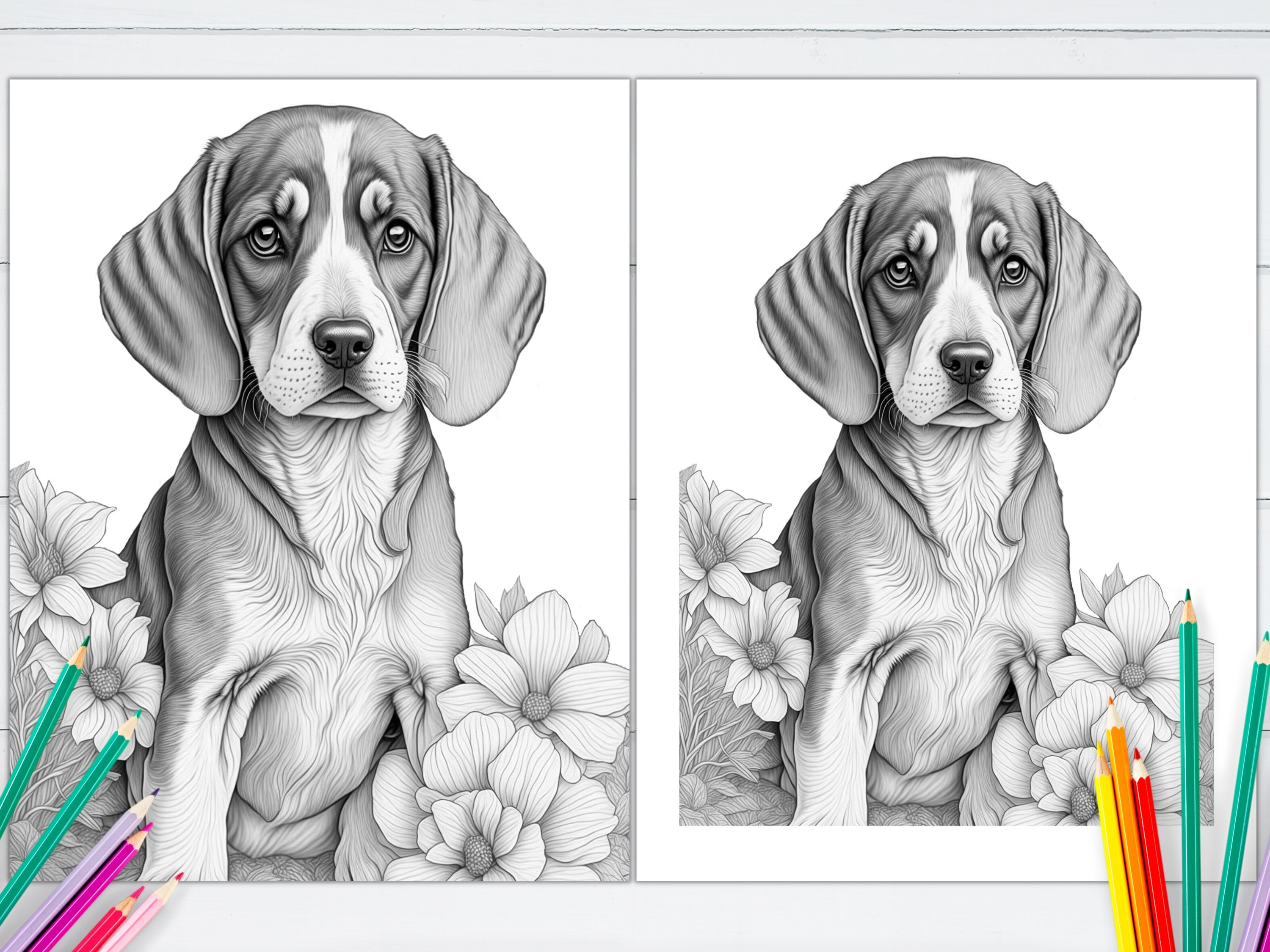 Realistic Beagle Coloring Pages