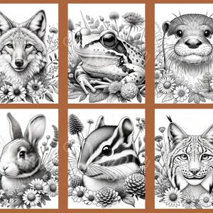 24 Woodland Animals Coloring Pages, Printable Forest Animals Coloring ...