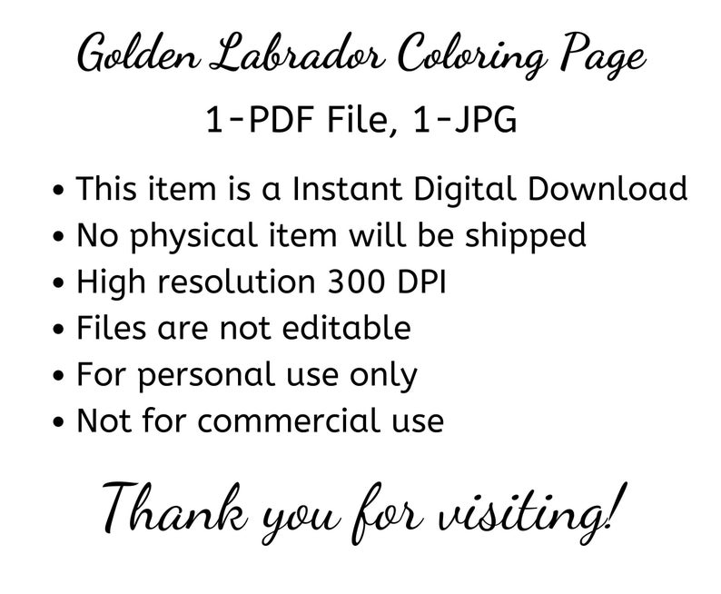 Golden Labrador Coloring Page Printable Golden Lab Coloring - Etsy