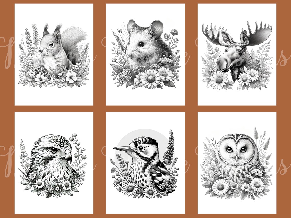 24 Woodland Animals Coloring Pages, Printable Forest Animals Coloring ...