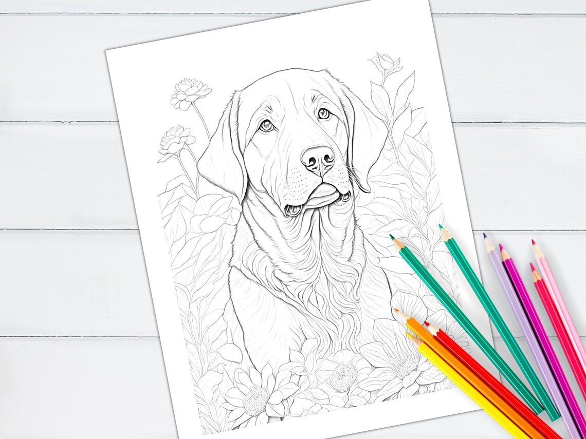 Golden Labrador Coloring Page for Adults, Printable Golden Lab Coloring ...