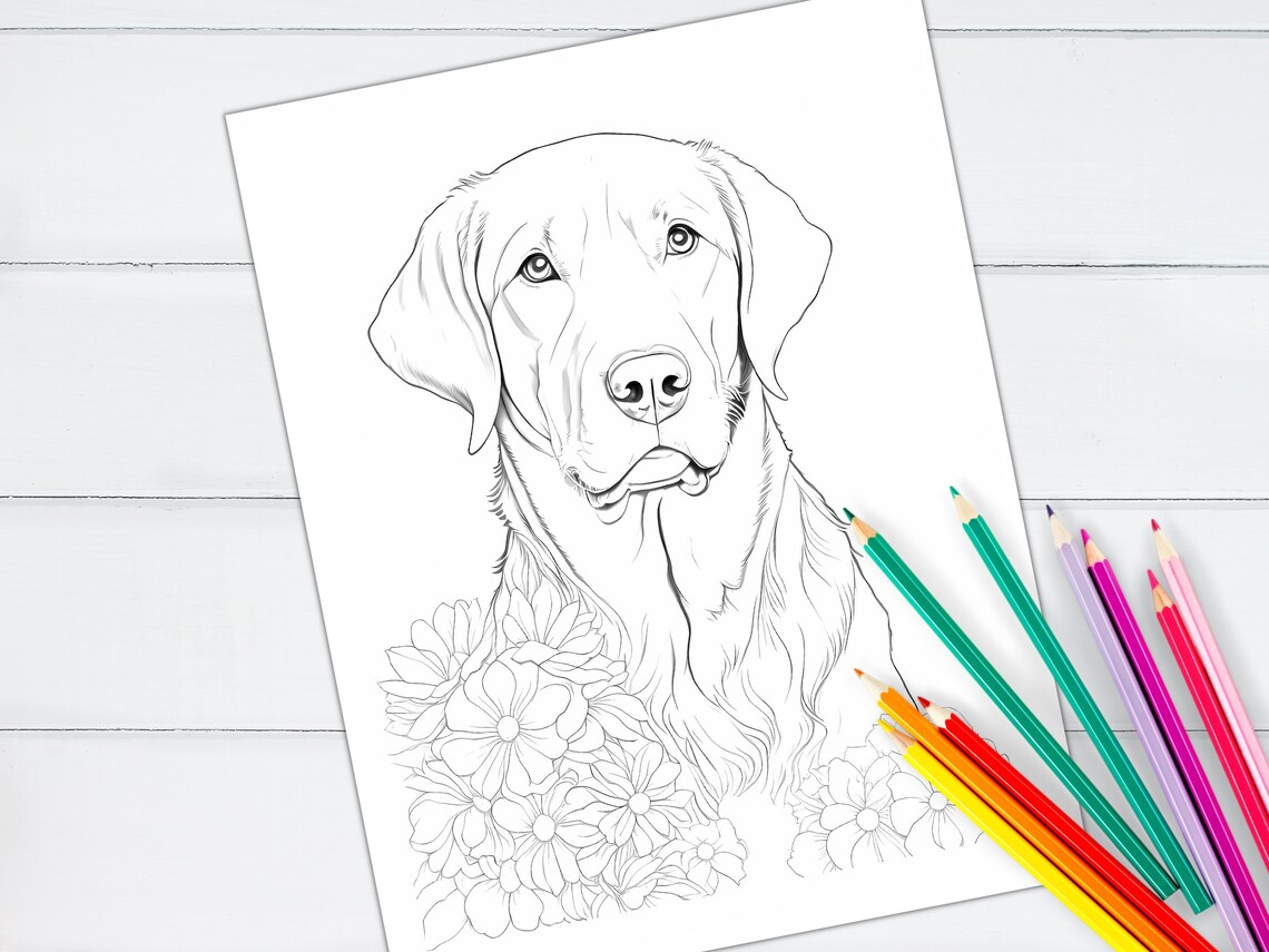 Golden Labrador Coloring Page, Printable Golden Lab Coloring Page ...