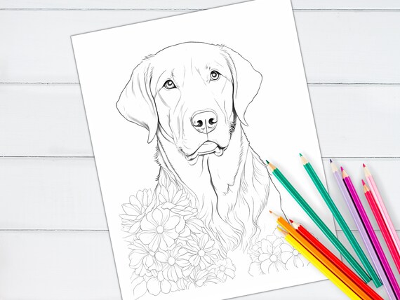 Yellow Lab Puppies Coloring Pages Printable