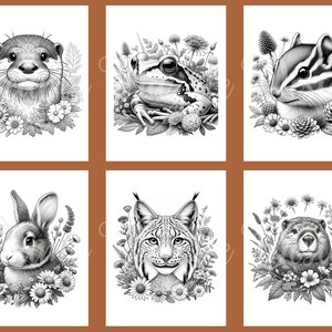 24 Woodland Animals Coloring Pages, Printable Forest Animals Coloring ...