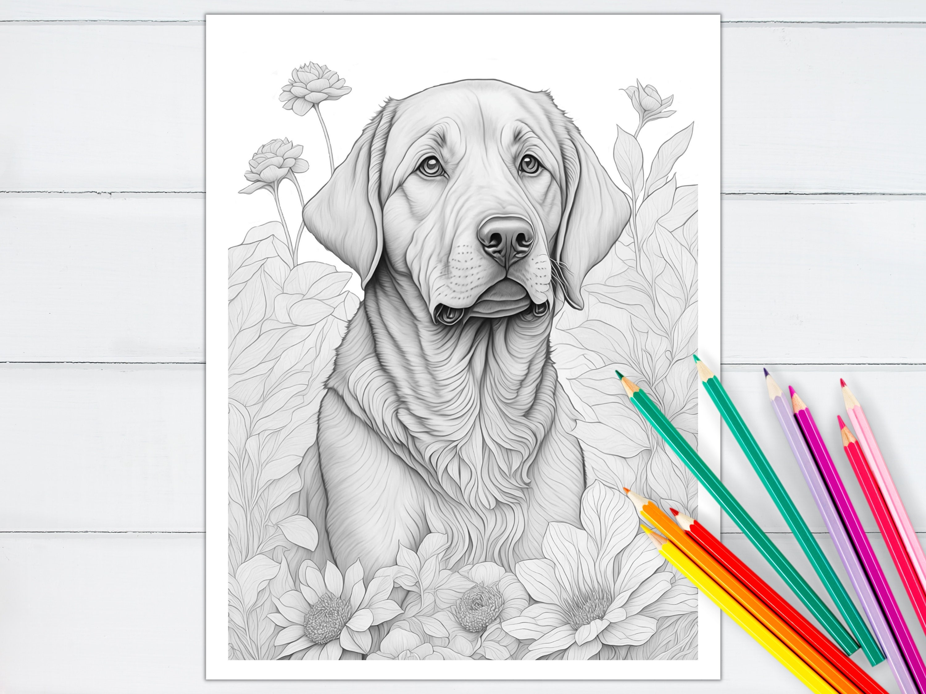 Golden Labrador Coloring Page. Printable Golden Lab Coloring Page ...