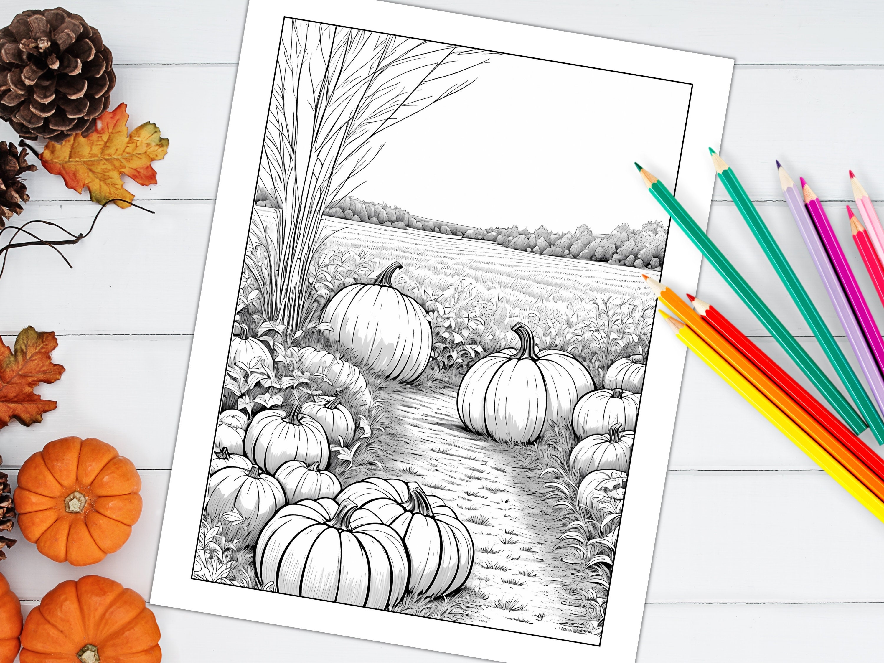 Autumn Field Coloring Page for Adults, Grayscale Fall Pumpkins Coloring ...