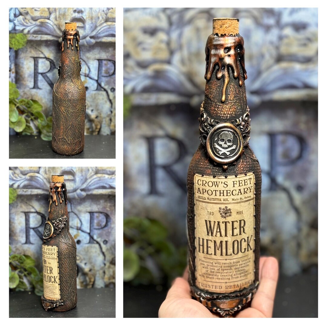 Potion Poison Water Hemlock Art Glass Bottle 24/5cm , Halloween , Salem ...