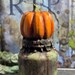 Handmade Halloween Pumpkin Elixir Bottle: Witchcraft Apothecary Decor ...