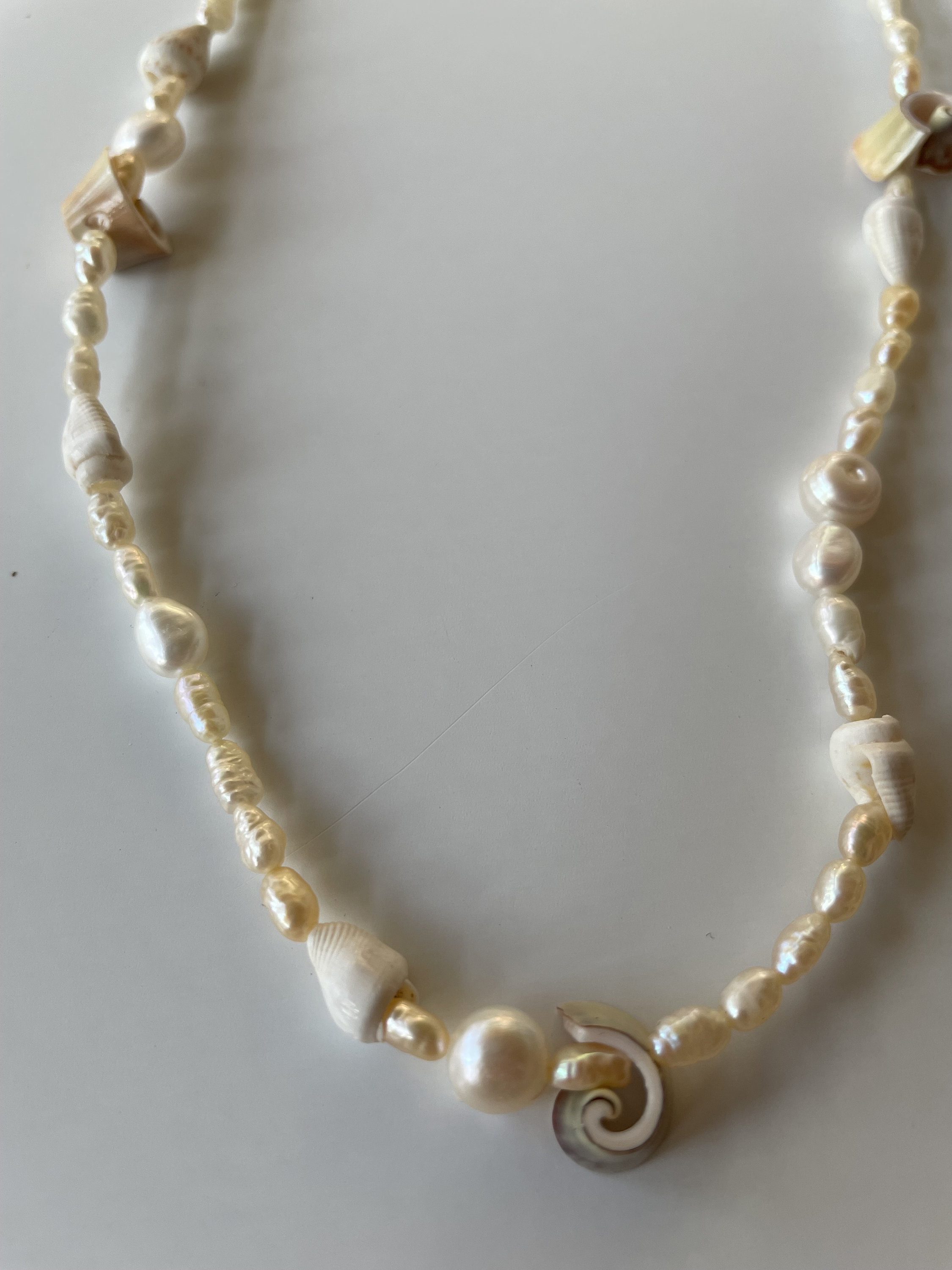 SHELL Necklace - Etsy