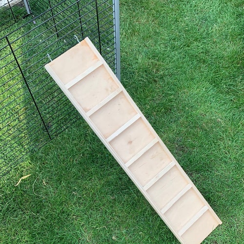 Large Indoor Guinea Pig Cage / Enclosure Two Storey With Ramp - Etsy UK