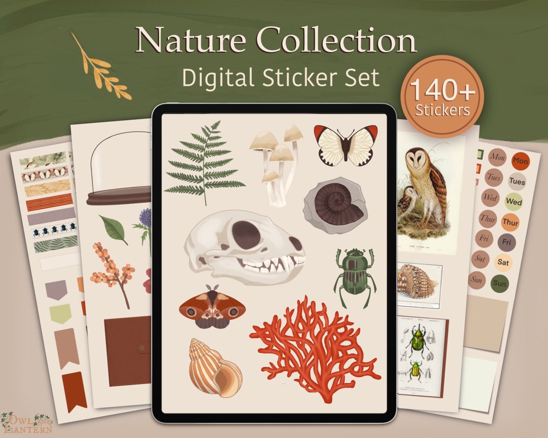 Nature Collection Digital Sticker Set | Vintage Collector Pngs for ...