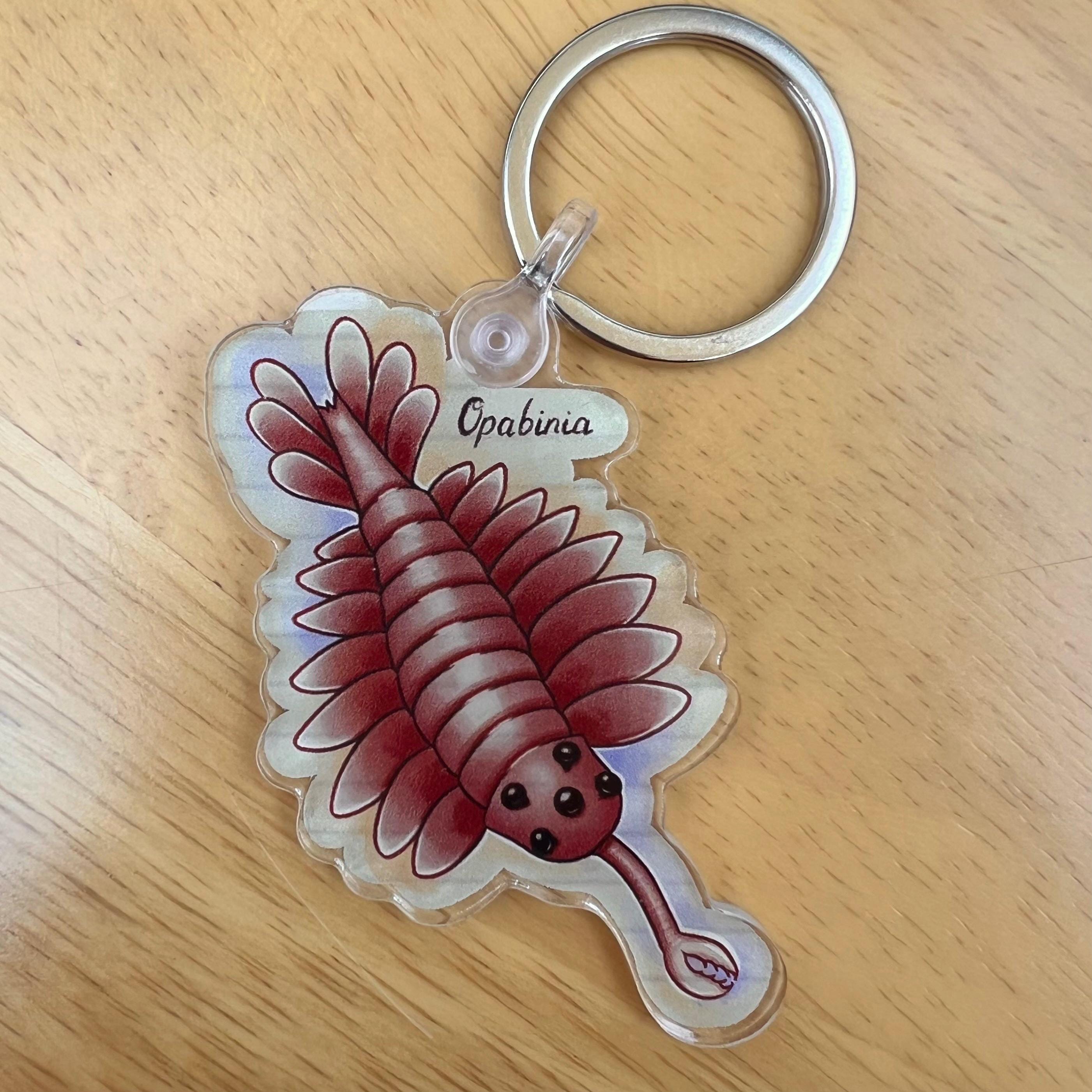 Opabinia Fakten ARBEITSKREIS PALÄONTOLOGIE HANNOVER