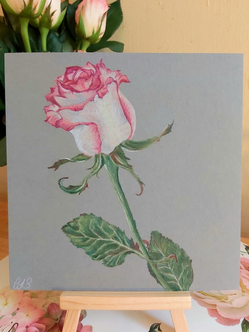 Original Drawing of Romantic Rose, Flower Art - Etsy