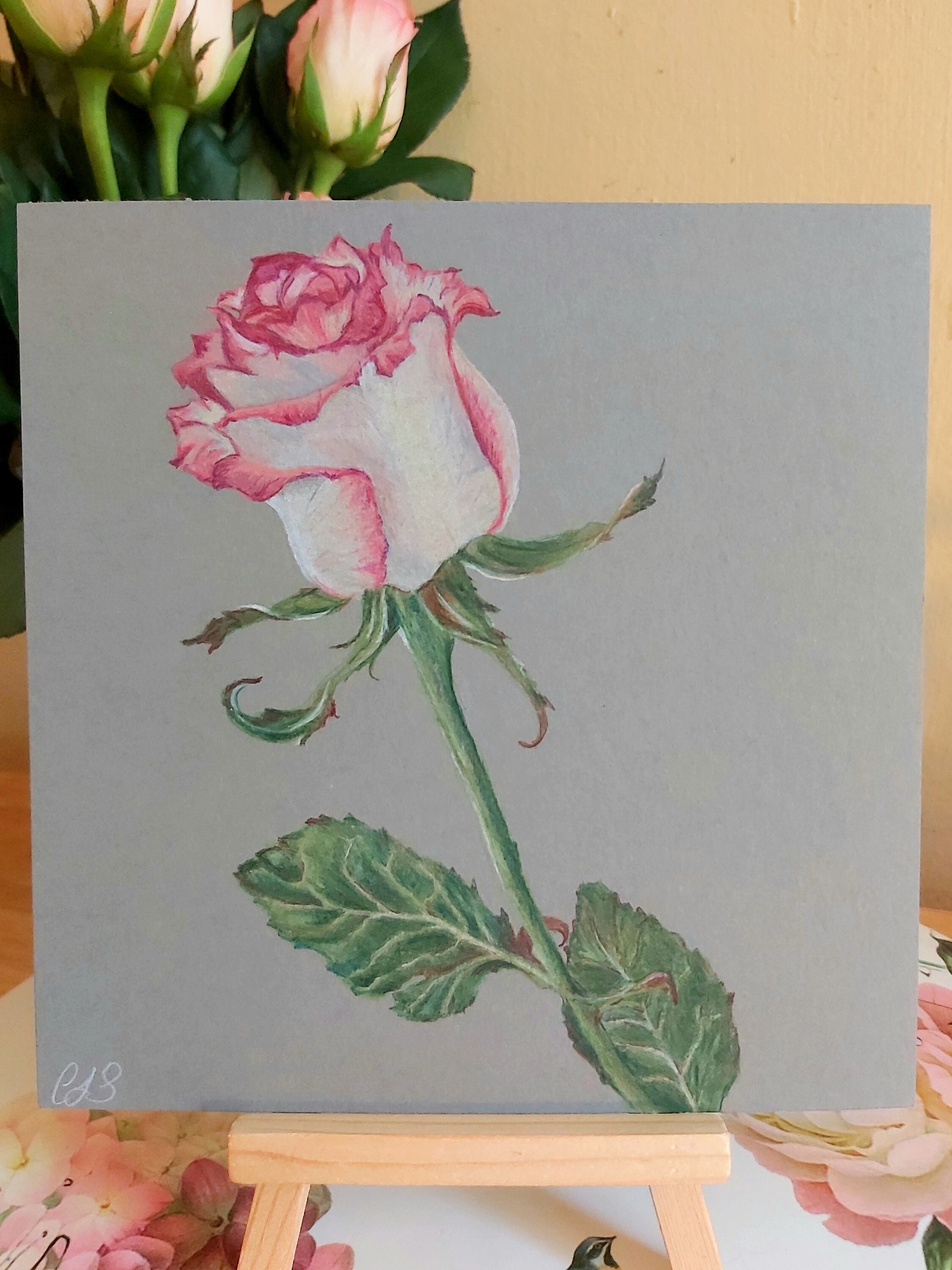 Original Drawing of a Single Rose - Etsy