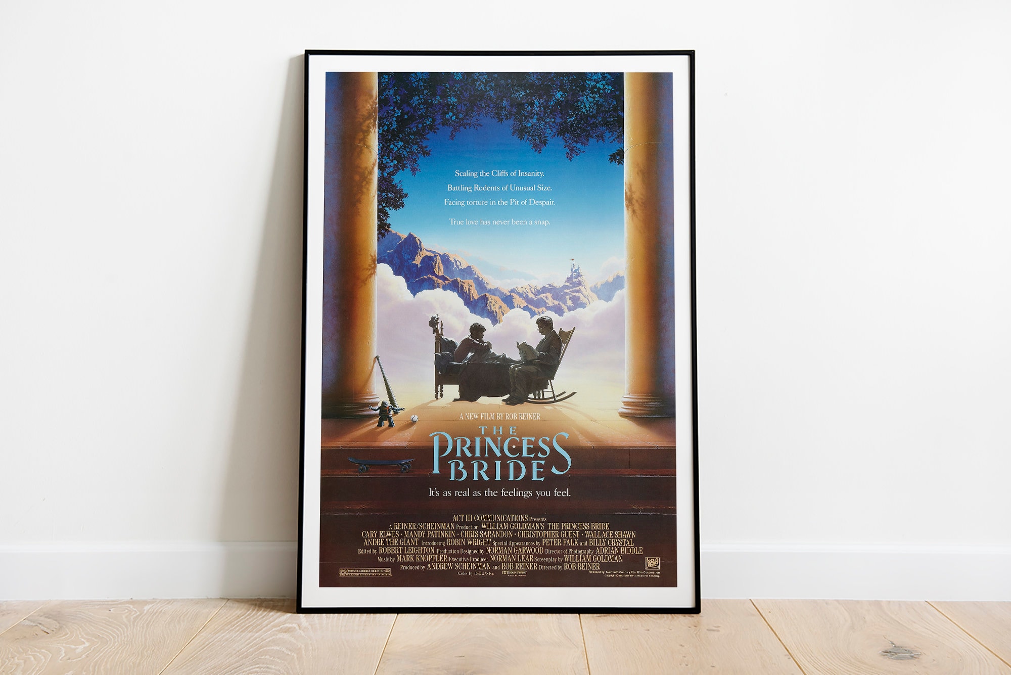 The Princess Bride Movie Poster Classic 90's Vintage | Etsy