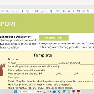 Essential Nursing Documentation Kit: SBAR, Care Plans, Bedside Reports ...