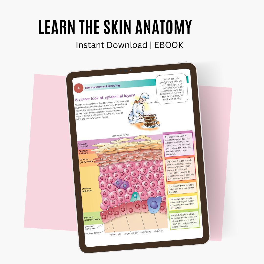 Wound Care Essentials: A Detailed Approach From Anatomy to Treatment ...