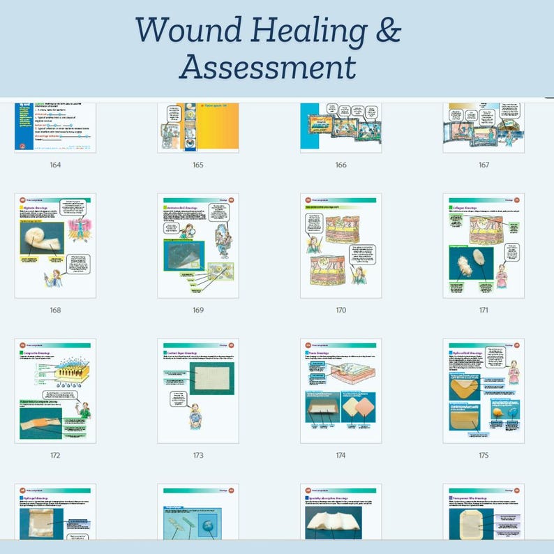 Wound Care Essentials: A Detailed Approach From Anatomy to Treatment ...