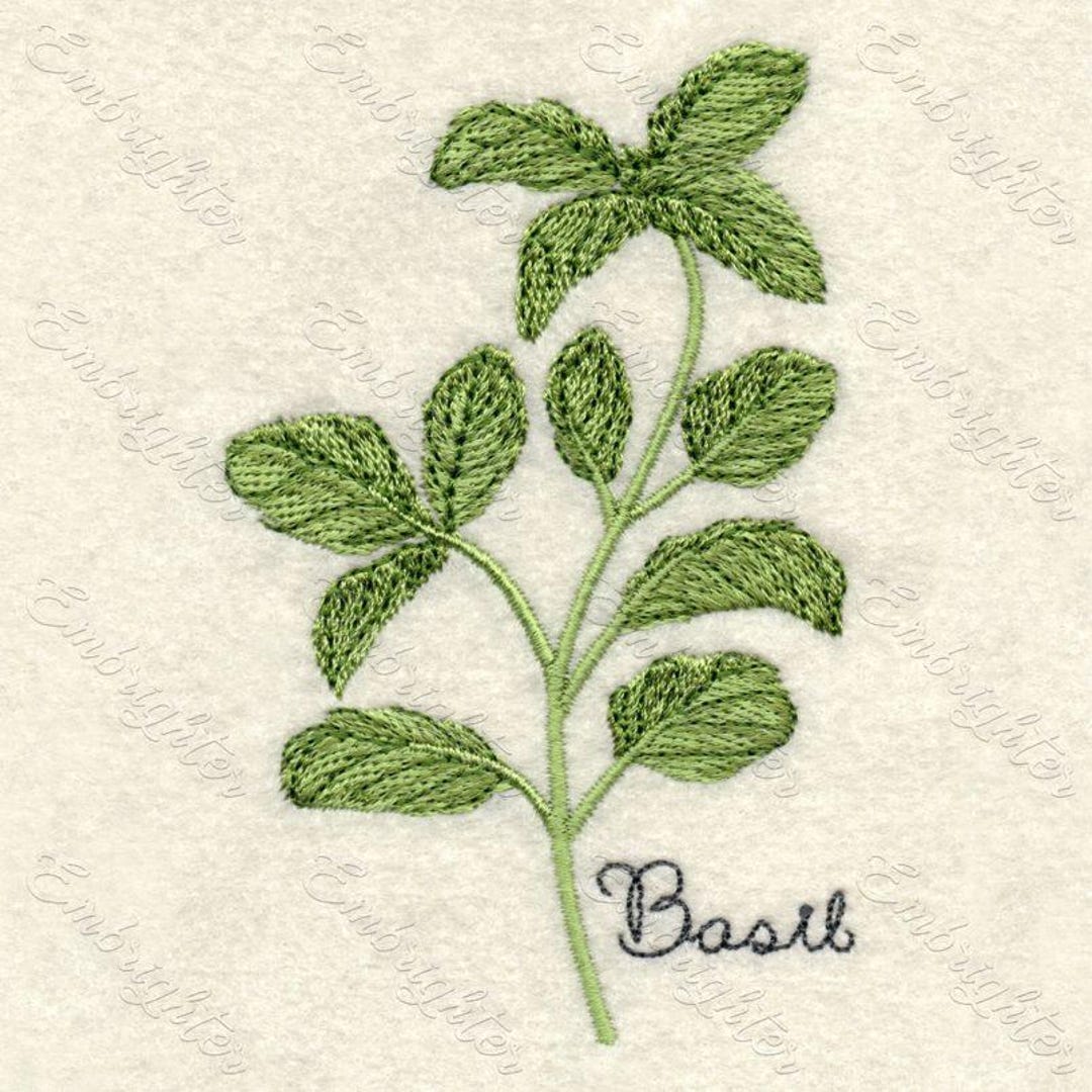 Herbs - Basil Embroidery Design - Etsy