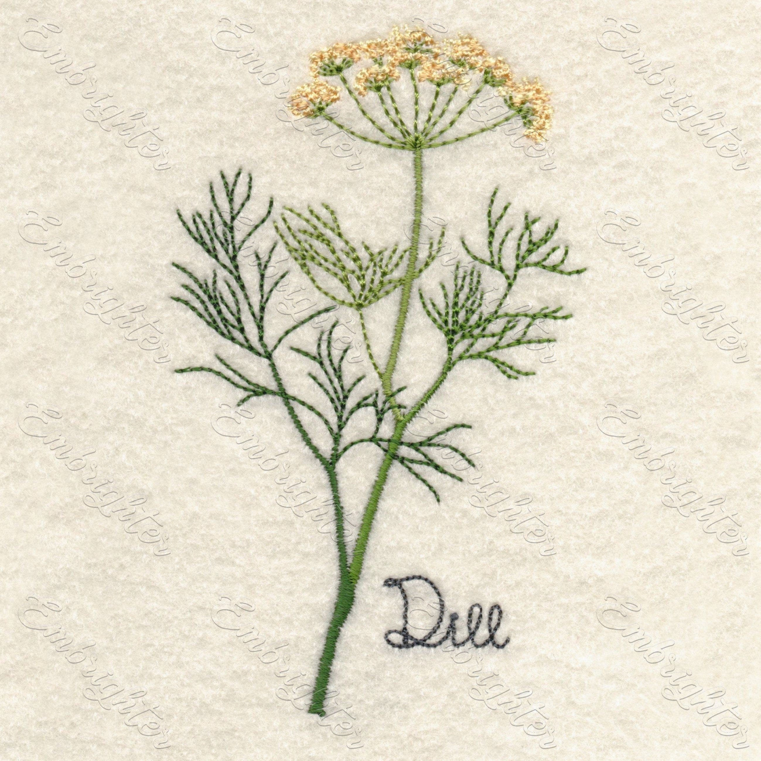 Dill - Machine Embroidery Design - Etsy