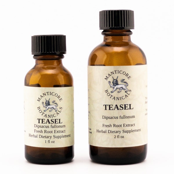 Teasel - Etsy
