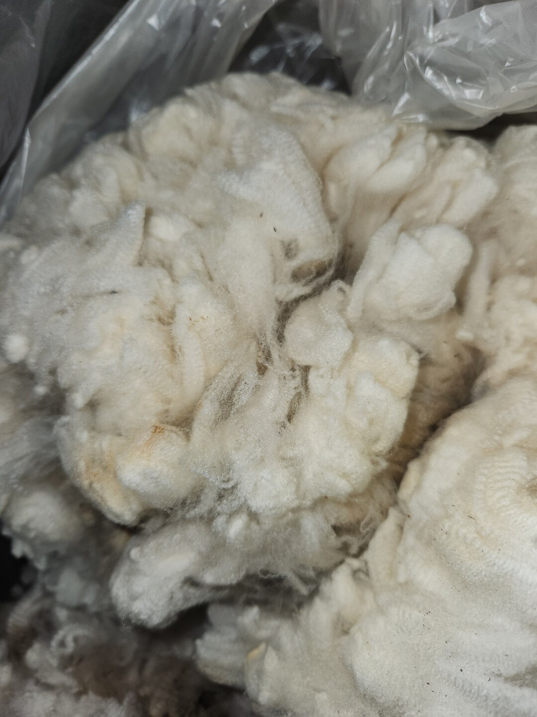 Raw White Merino Wool - Etsy