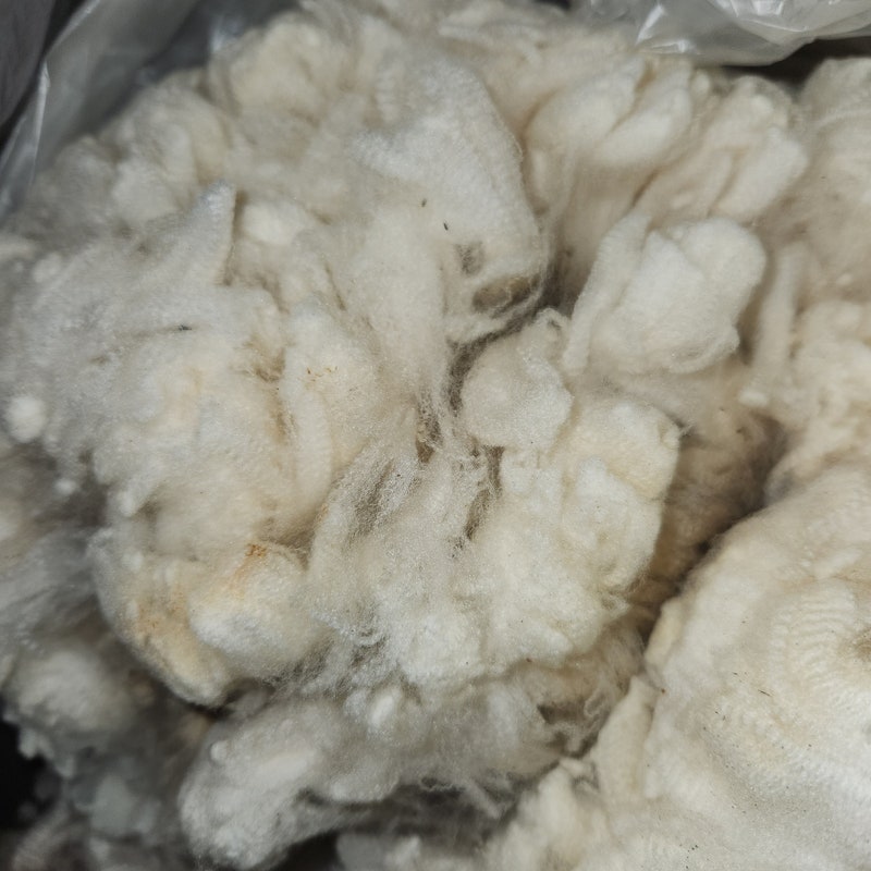 Long Fiber Raw Wool - Etsy