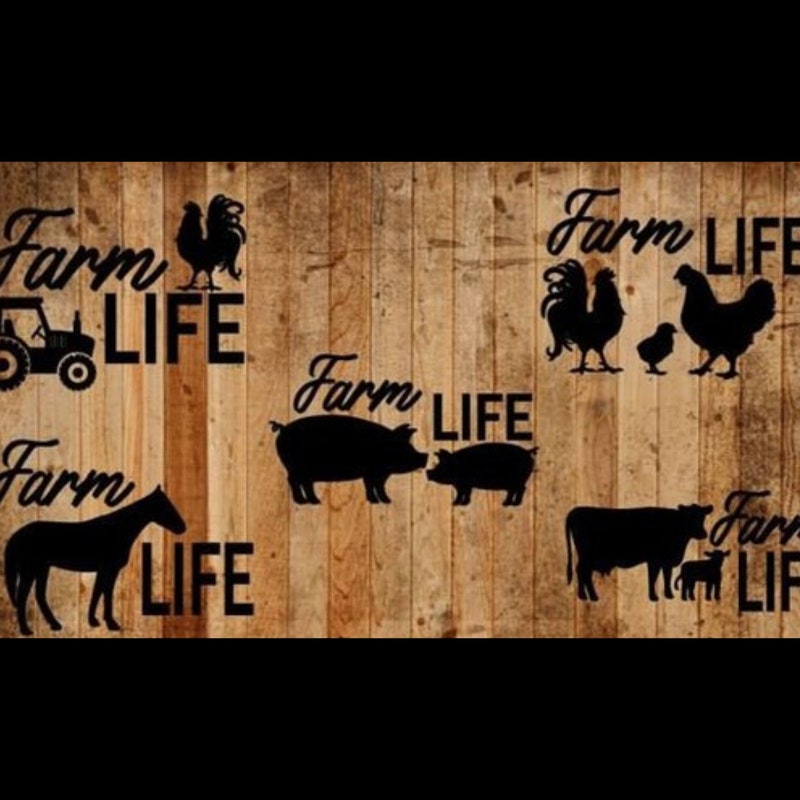Life Vinyl Decal - Etsy
