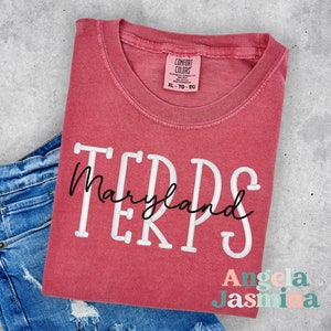 Personalized School Mascot Embroidered Shirt, Custom College Spirit ...