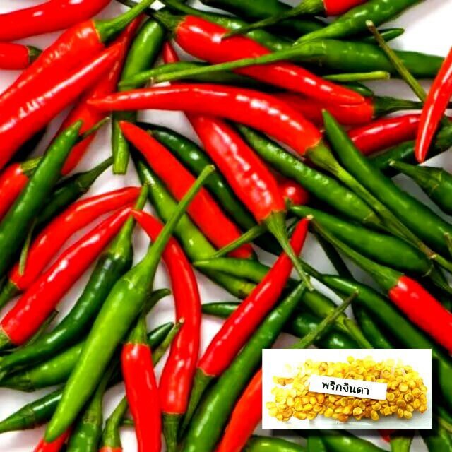 Jindadaeng Hot Chili - Etsy