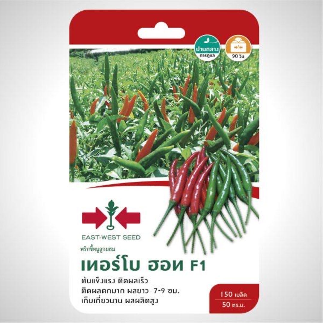 Turbo Hot F1 Chili Seeds - Etsy