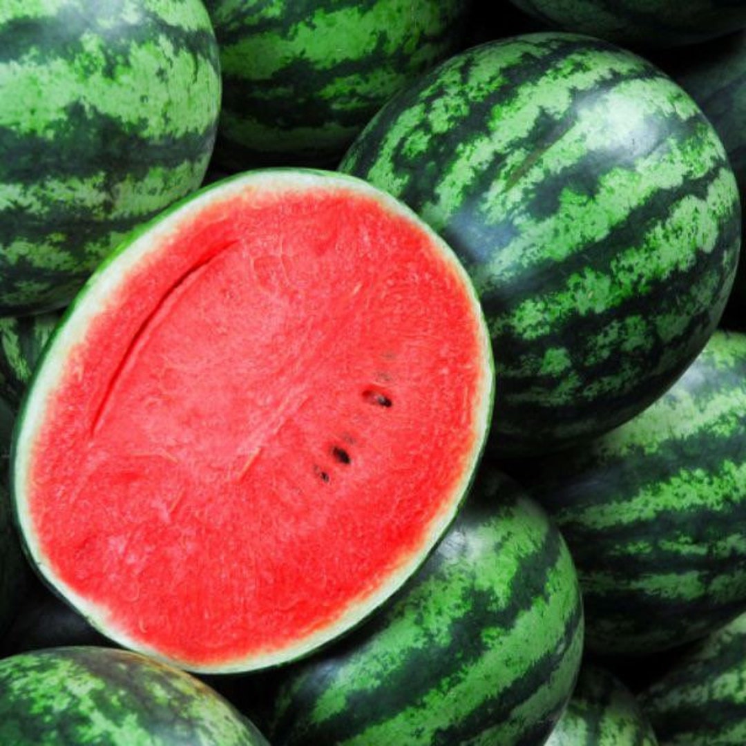 Sonyaplus Watermelon Seeds - Etsy