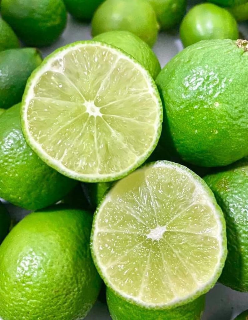 Lime 5 Seeds - Etsy